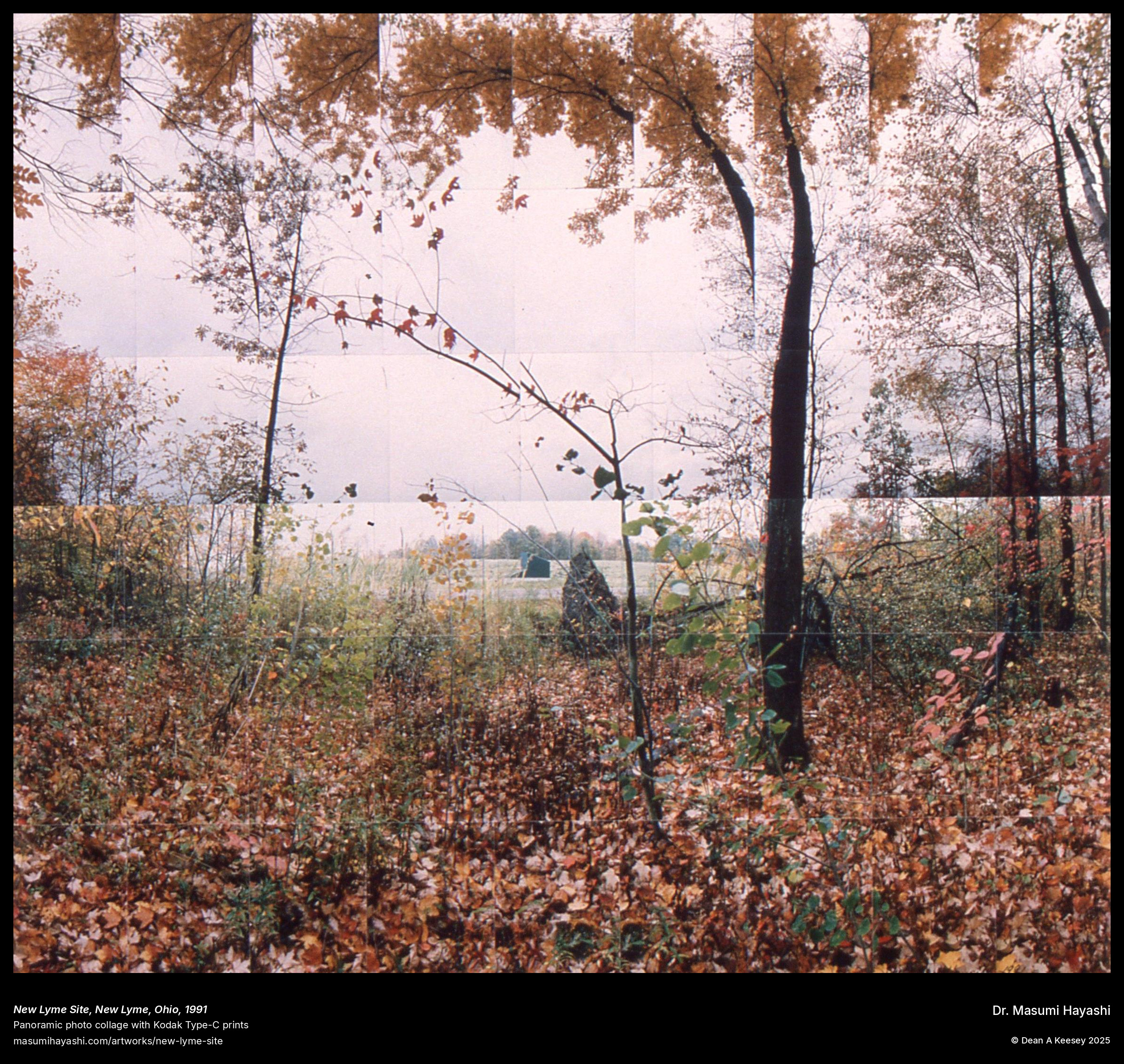 New Lyme Site, New Lyme, Ohio | Masumi Hayashi Foundation
